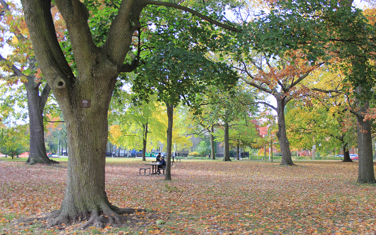 Queens Park Toronto Canada File:War Memorial In Queens Park.jpg