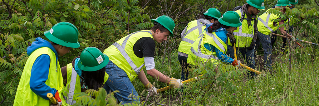 Natural Environment Trails Volunteers – City of Toronto