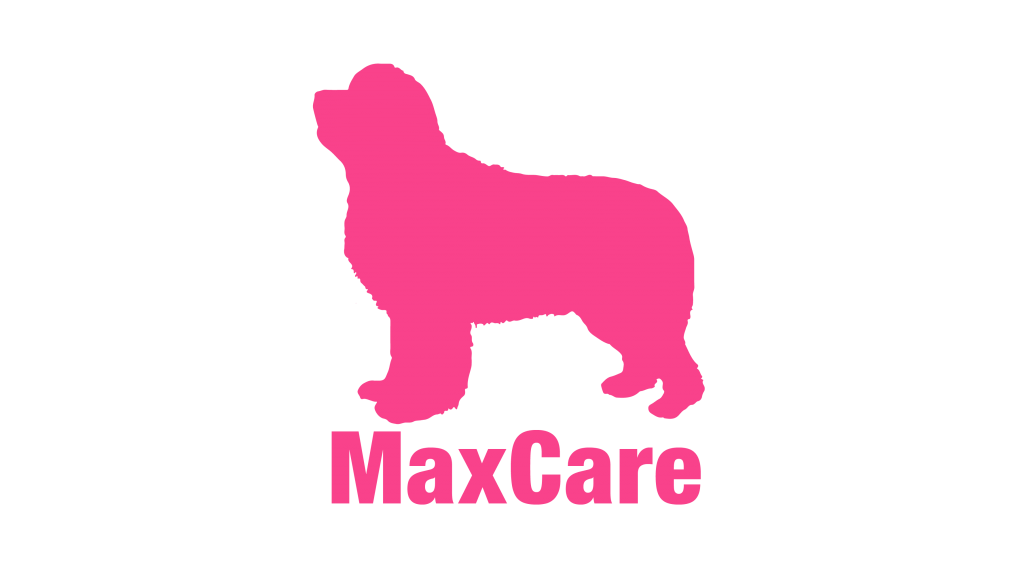 Pet Food & Products – City of Toronto