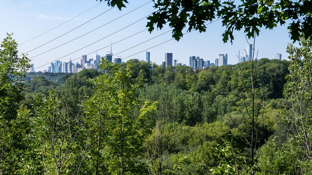 Ravine Strategy – City of Toronto