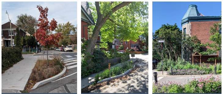 Bloor Street West Reconstruction – Avenue Road to Spadina Avenue – City ...