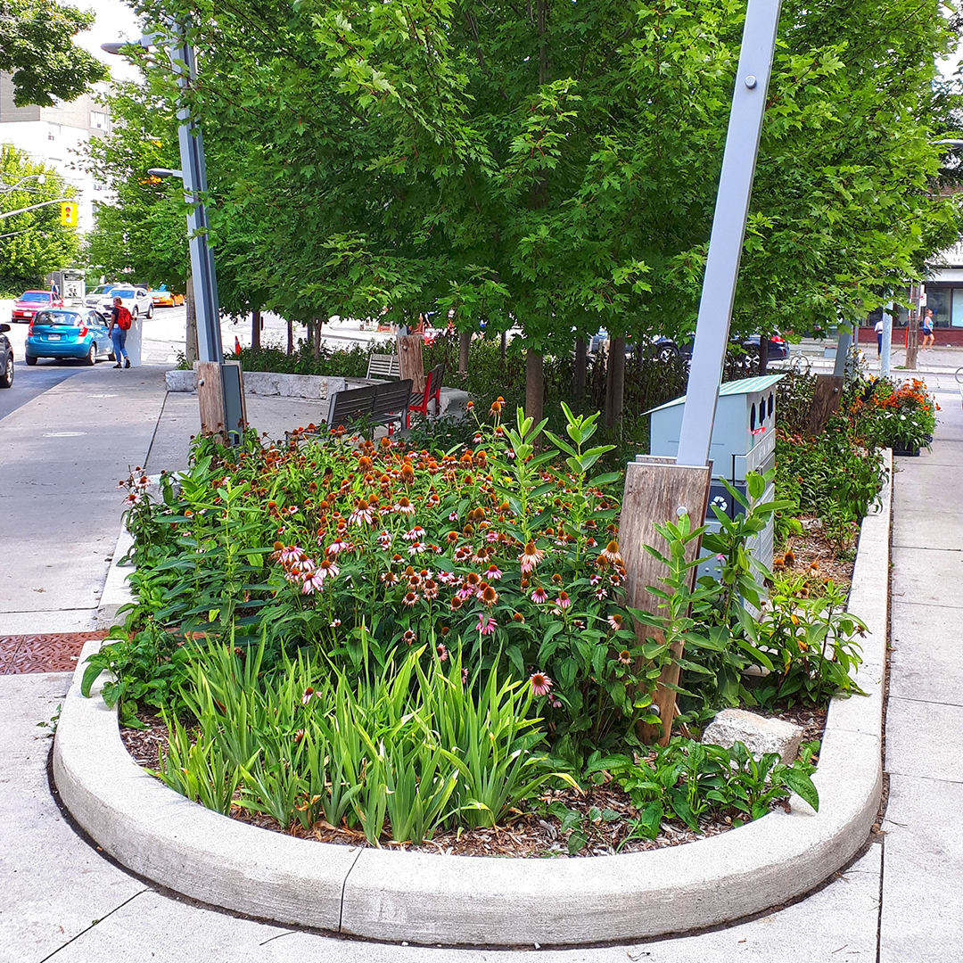 Green Streets Projects – City of Toronto