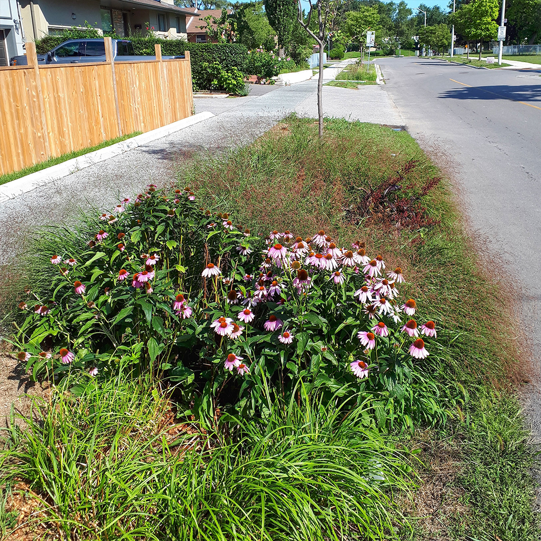 Green Streets Projects – City of Toronto