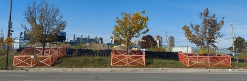 Tree & Ravine Protection – City of Toronto