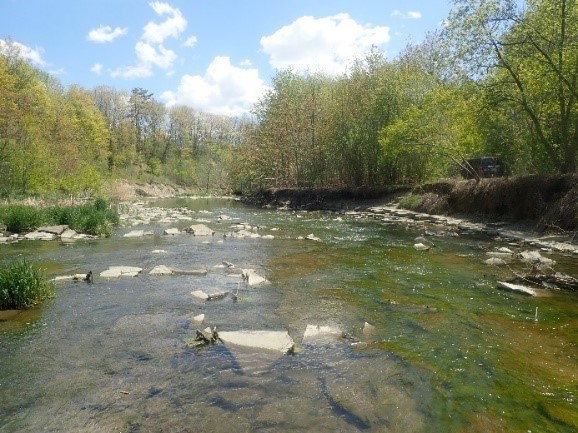West Humber River Geomorphic Systems Master Plan – City of Toronto