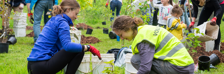 Tree Planting Captains – City of Toronto