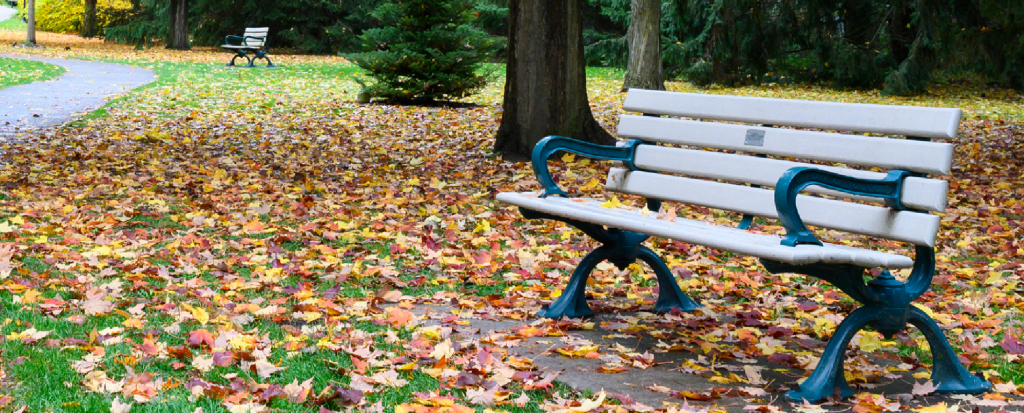 Commemorative Tree & Bench Program – City of Toronto