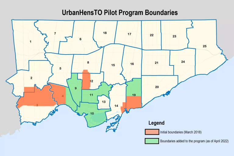UrbanHensTO Pilot Program – City of Toronto