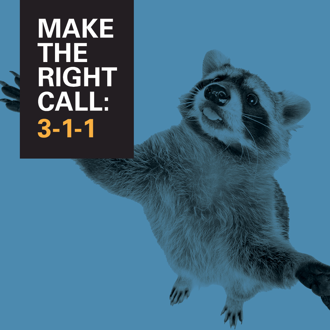 Make the Right Call – City of Toronto