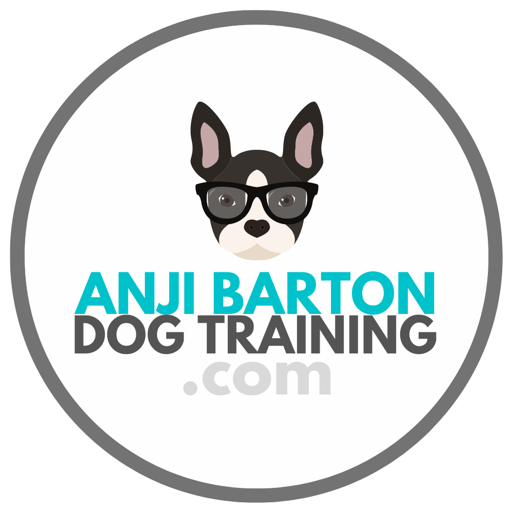 Grooming & Training – City of Toronto