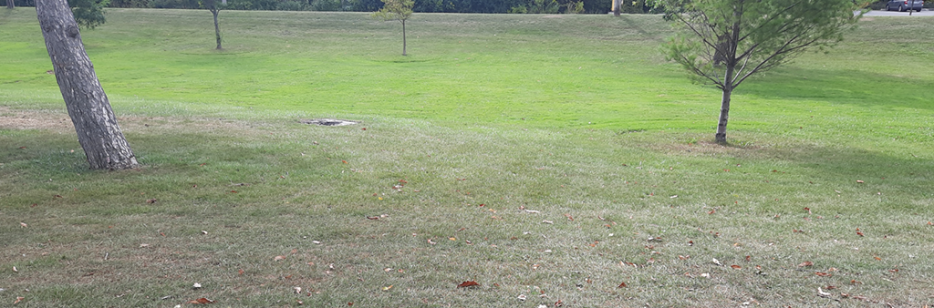 Eglinton Flats Fitness Improvements – City of Toronto