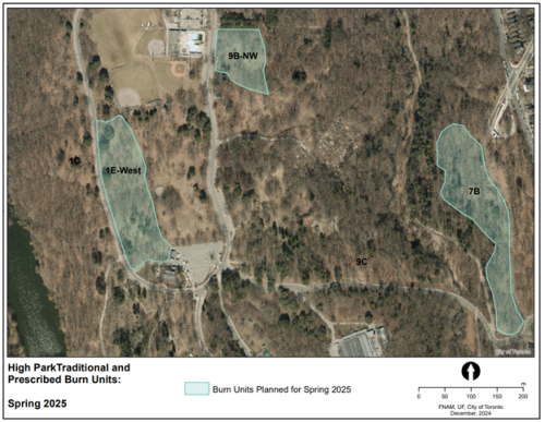 Traditional & Prescribed Burn – City of Toronto