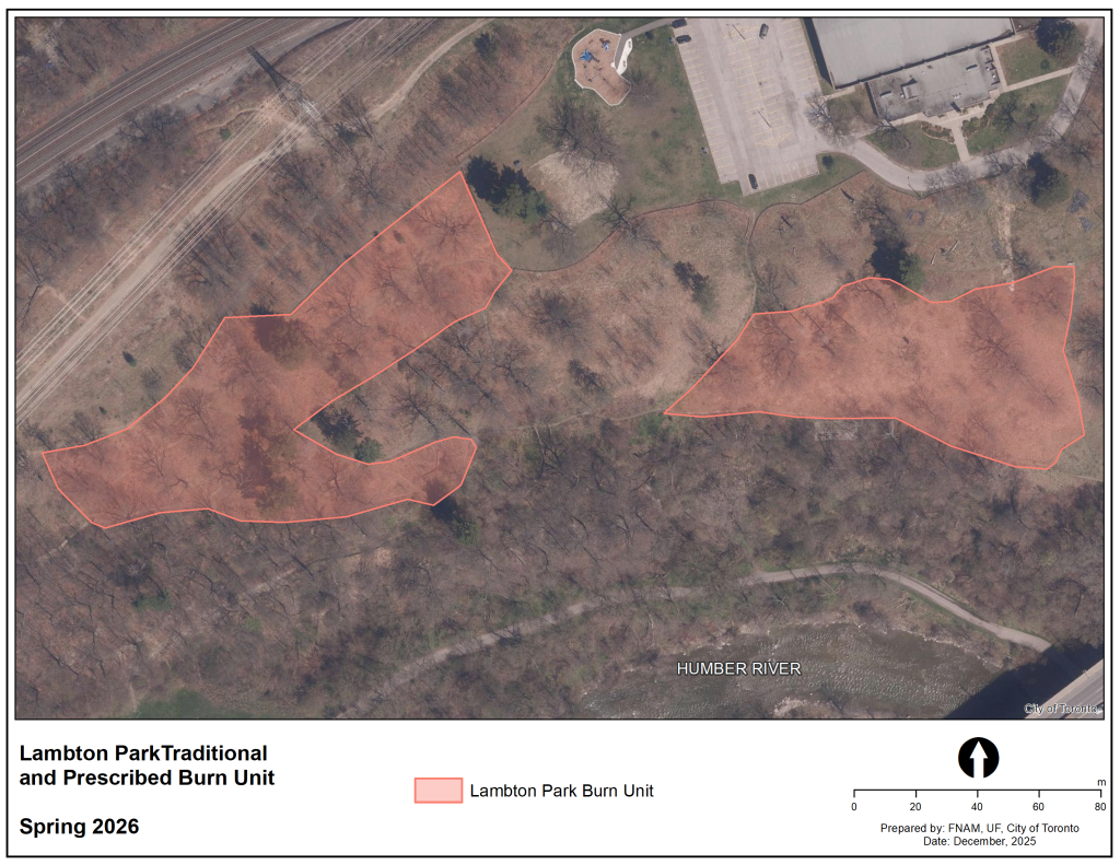 Traditional & Prescribed Burn – City of Toronto